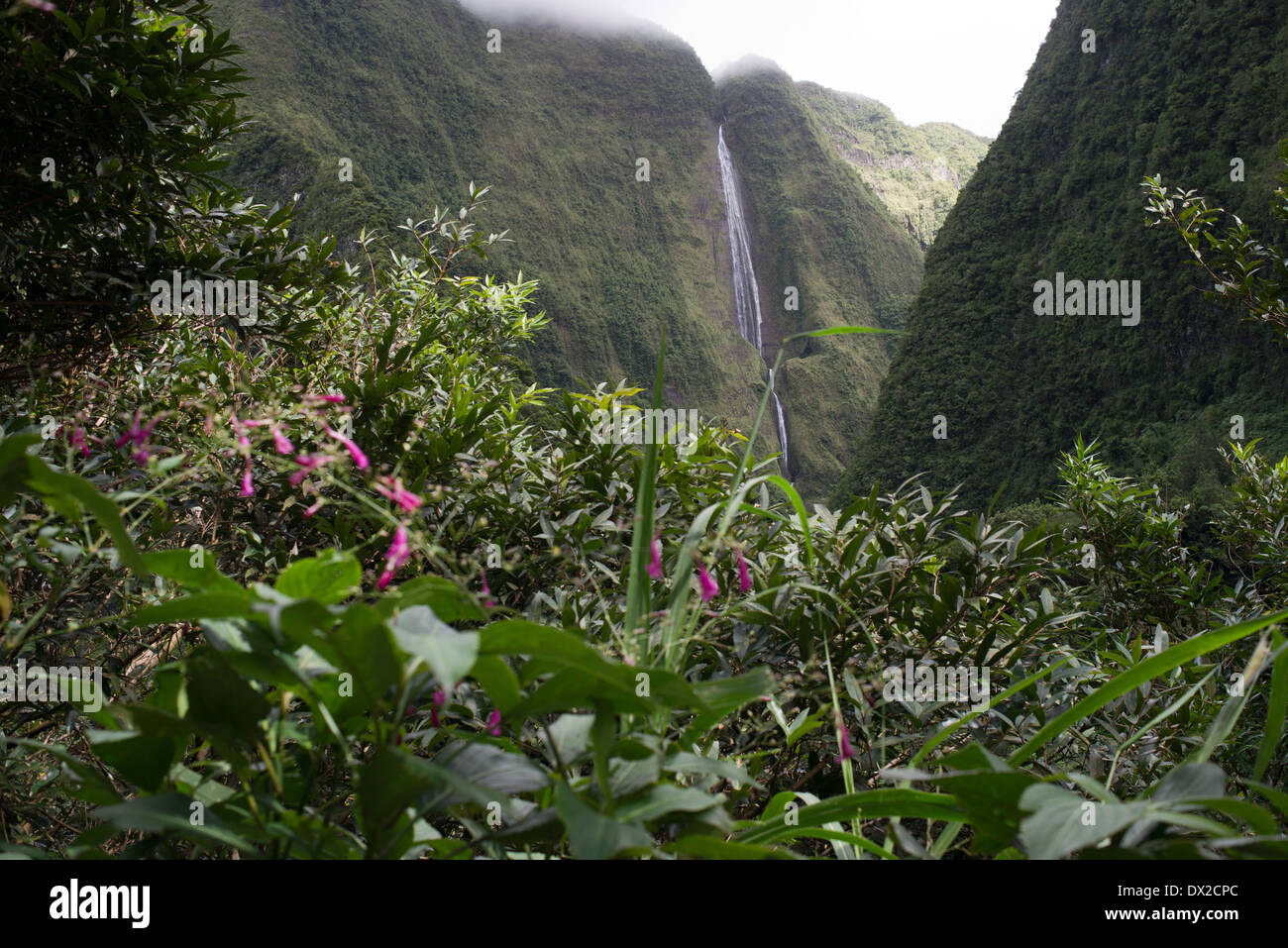 BLANCHE CASCADE, the most famous waterfall in Reunion Island .. This ...