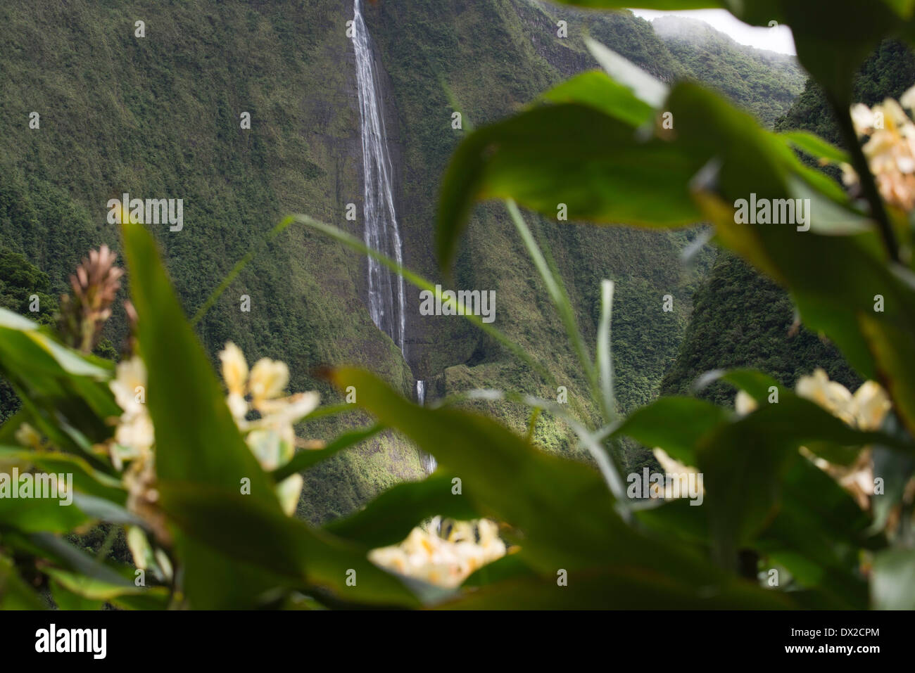 BLANCHE CASCADE, the most famous waterfall in Reunion Island .. This ...
