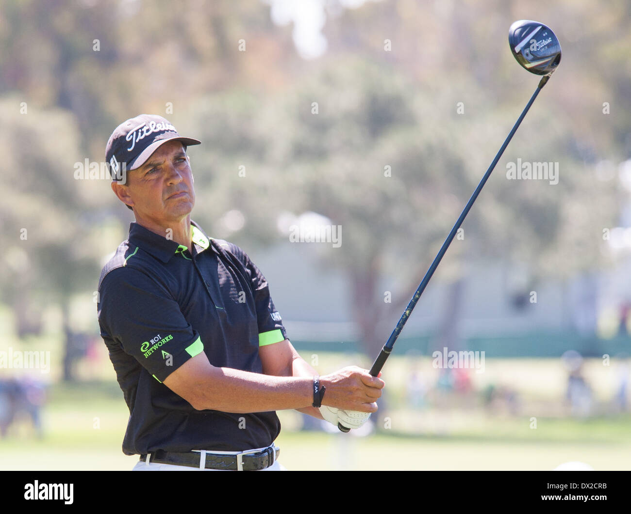 Tom pernice hi-res stock photography and images - Alamy