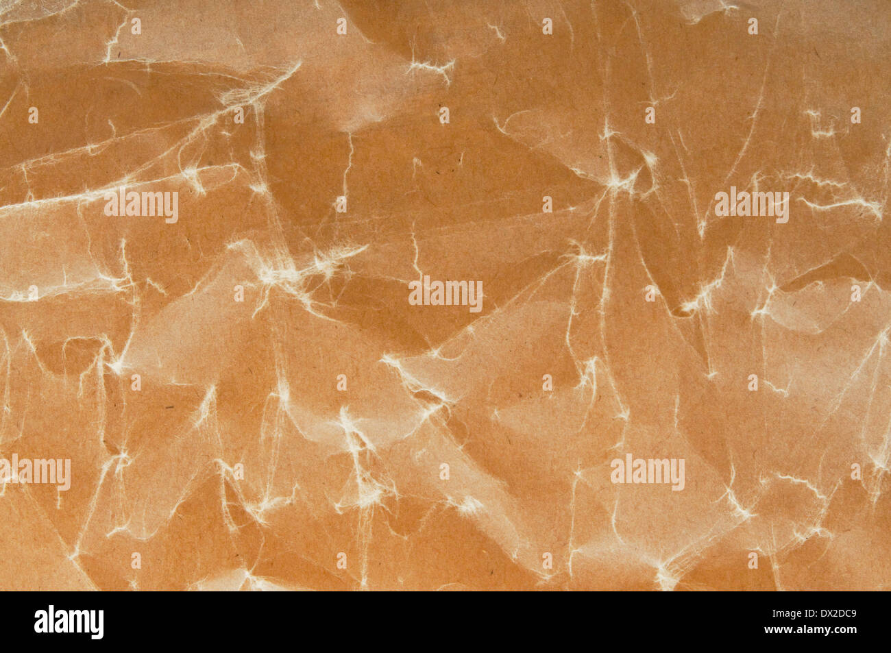 Wax paper texture hi-res stock photography and images - Alamy