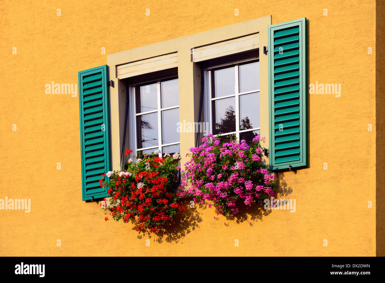 Window with flower boxes Kitzingen Germany Bavaria Deutschland DE ...