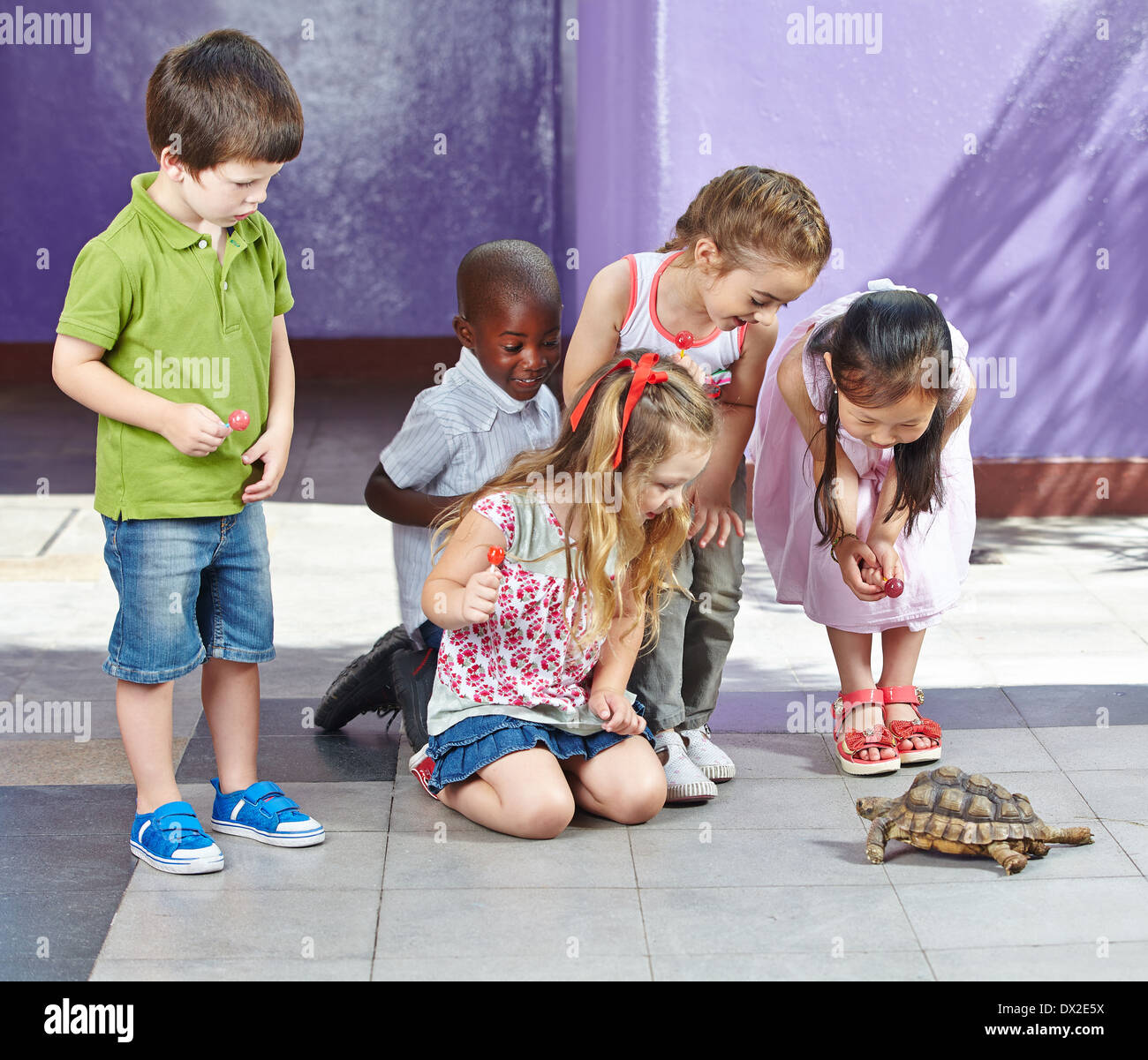 Turtle pet girl hi-res stock photography and images - Alamy