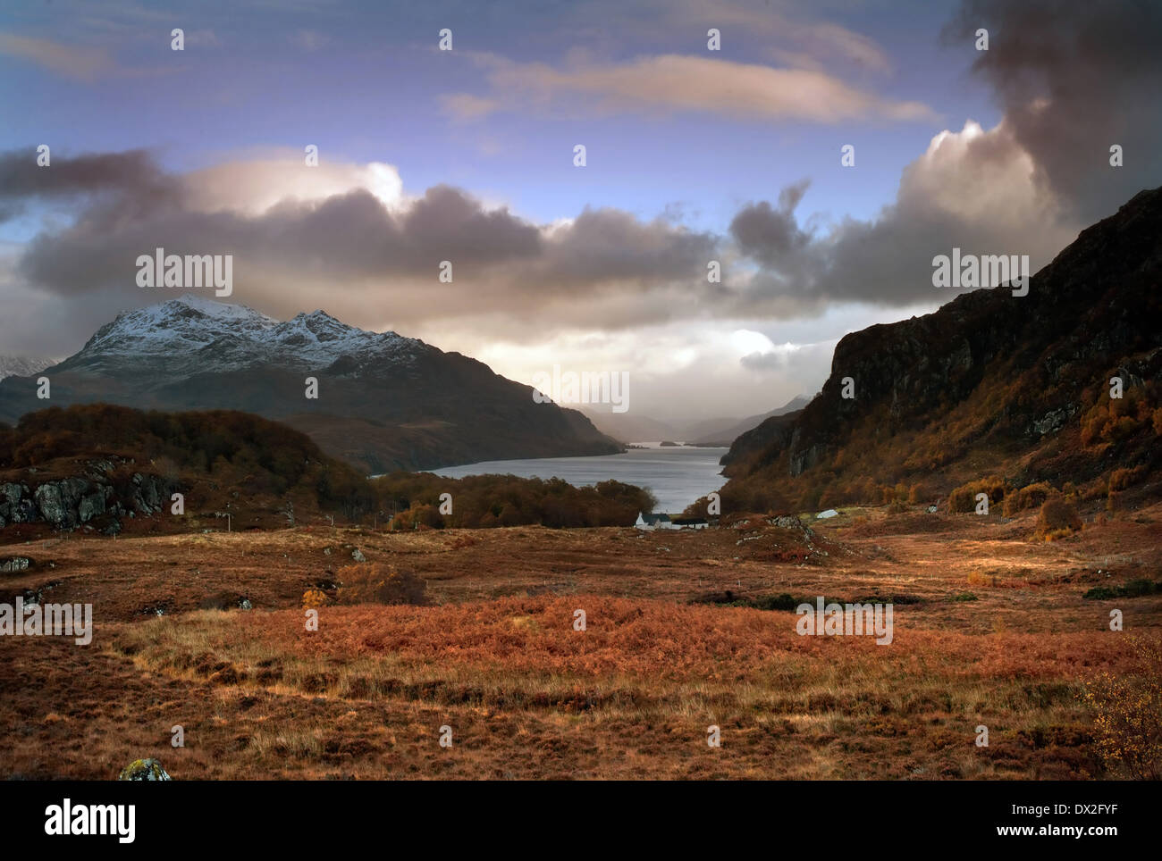 Scottish moors hi-res stock photography and images - Alamy