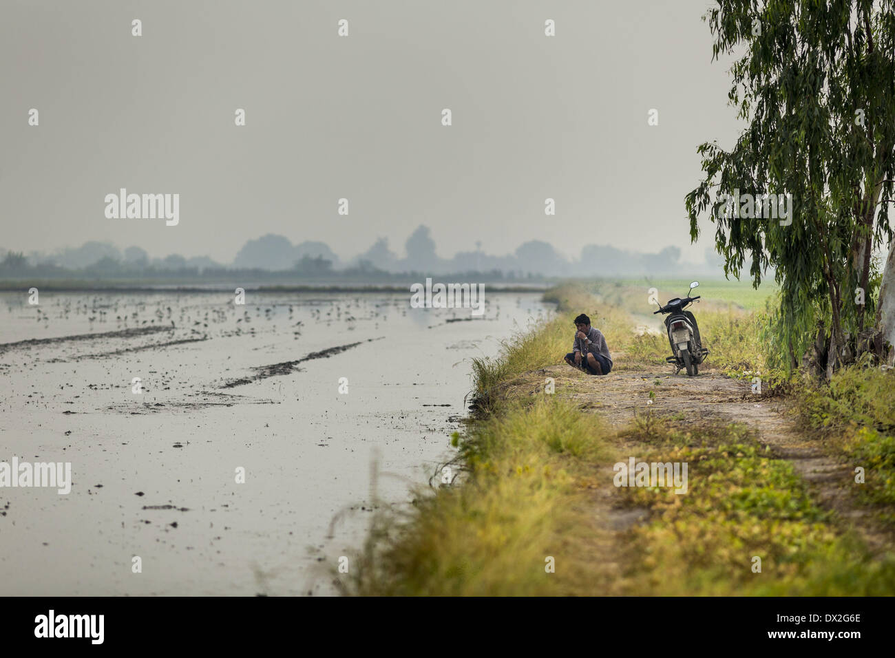 Thailand rice pathum thani not bangkok hi-res stock photography and ...