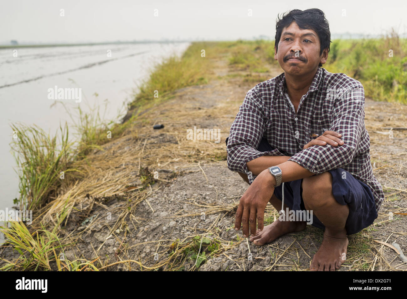 Thailand rice pathum thani not bangkok hi-res stock photography and ...