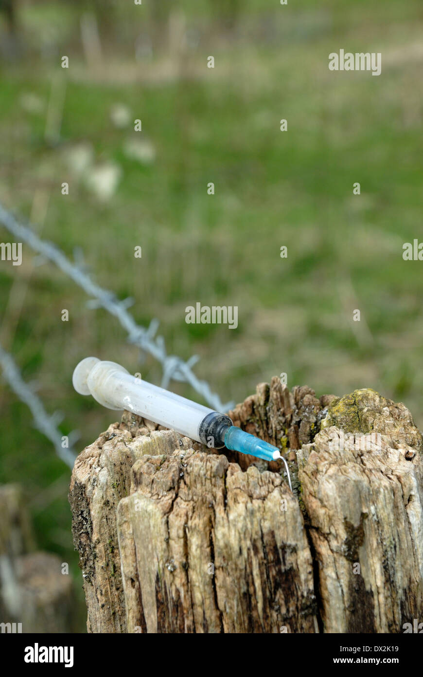 Discarded syringe on a fencepost in the countryside (Kent, England ...