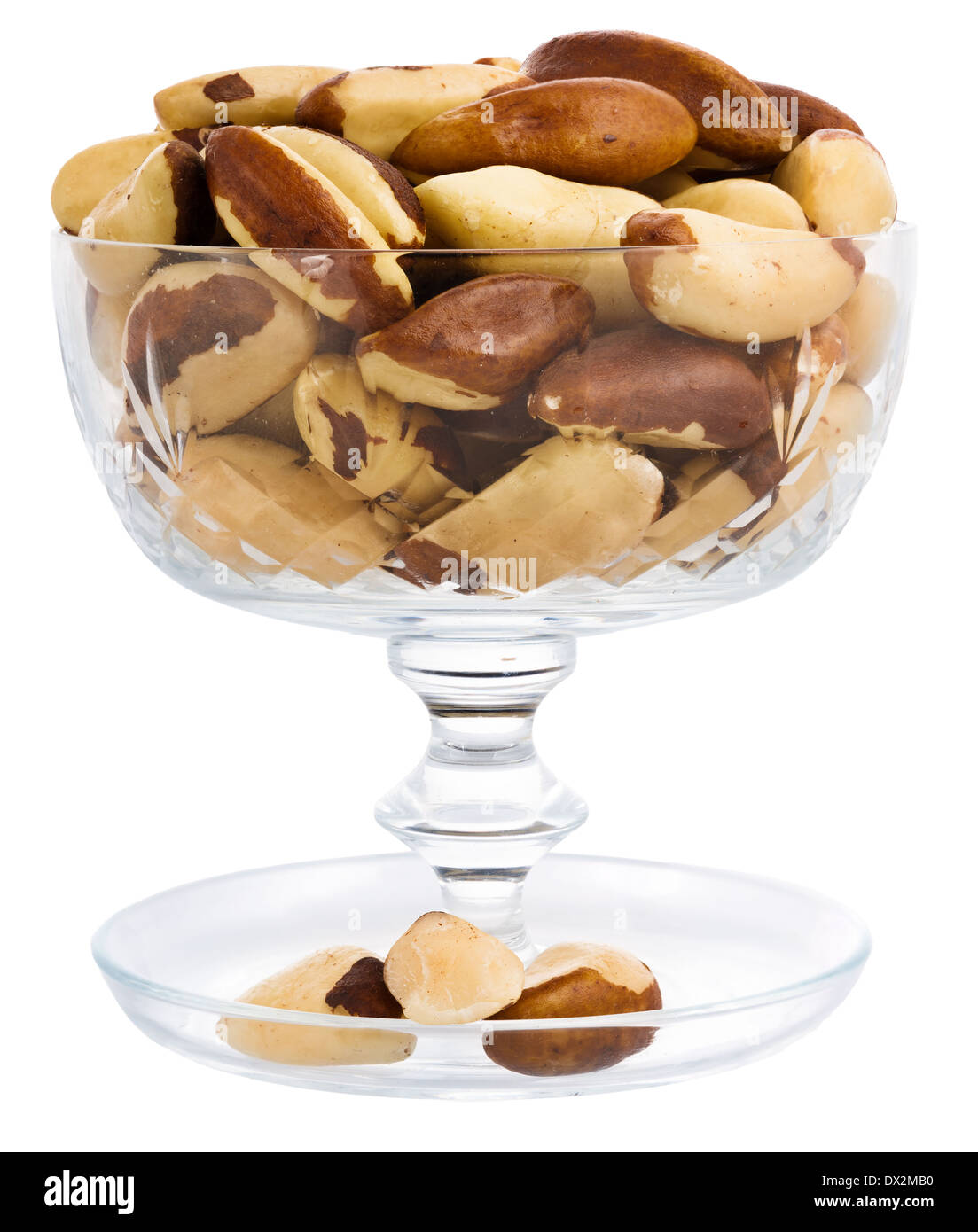 Bertholletia excelsa fruit hi-res stock photography and images - Alamy