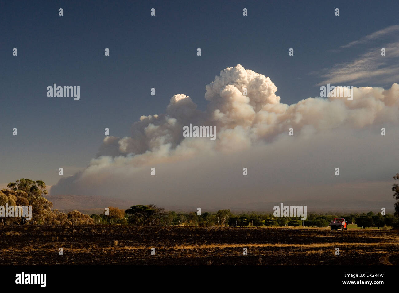 Smoke cloud hi-res stock photography and images - Alamy
