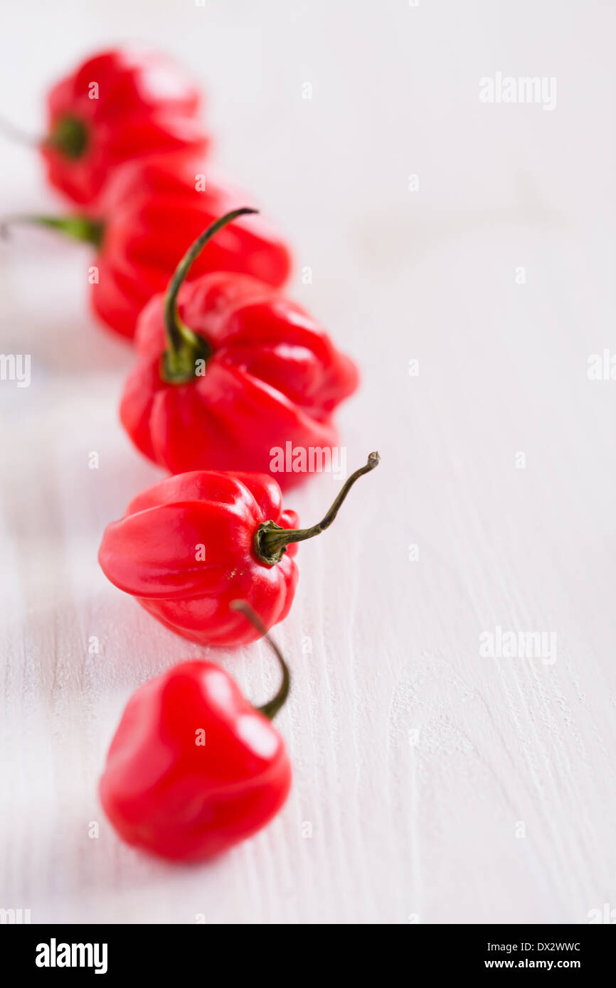 Closeup of five round shaped red chili peppers in row on light surface ...