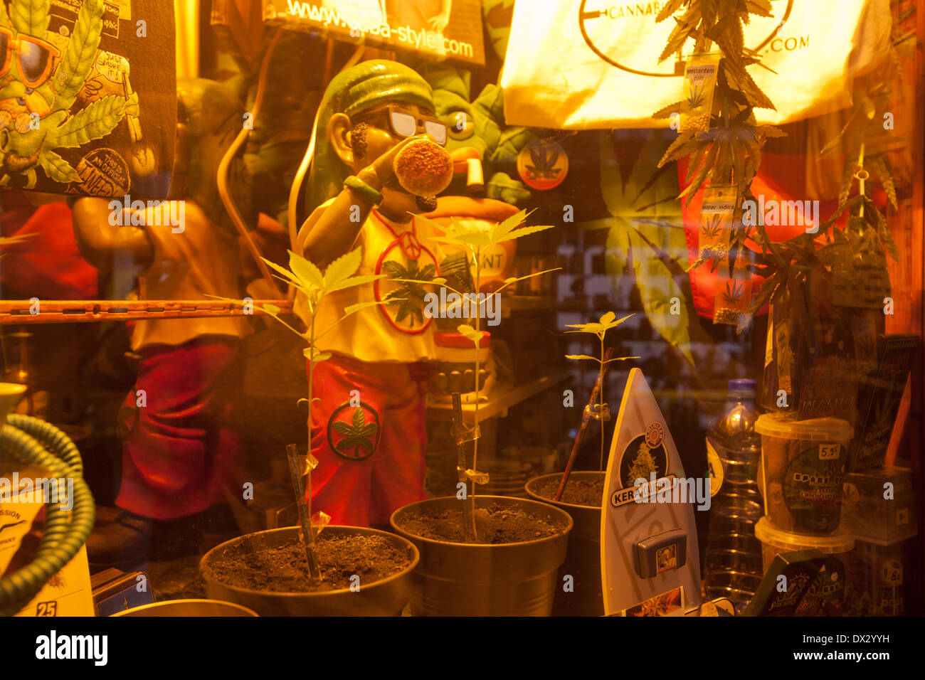 Cannabis shop in Amsterdam, Netherlands Stock Photo - Alamy