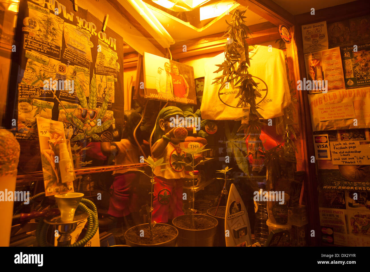 Cannabis Shop High Resolution Stock Photography and Images - Alamy