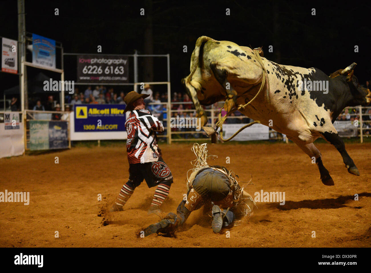 Professional Bull Riding High Resolution Stock Photography and Images ...