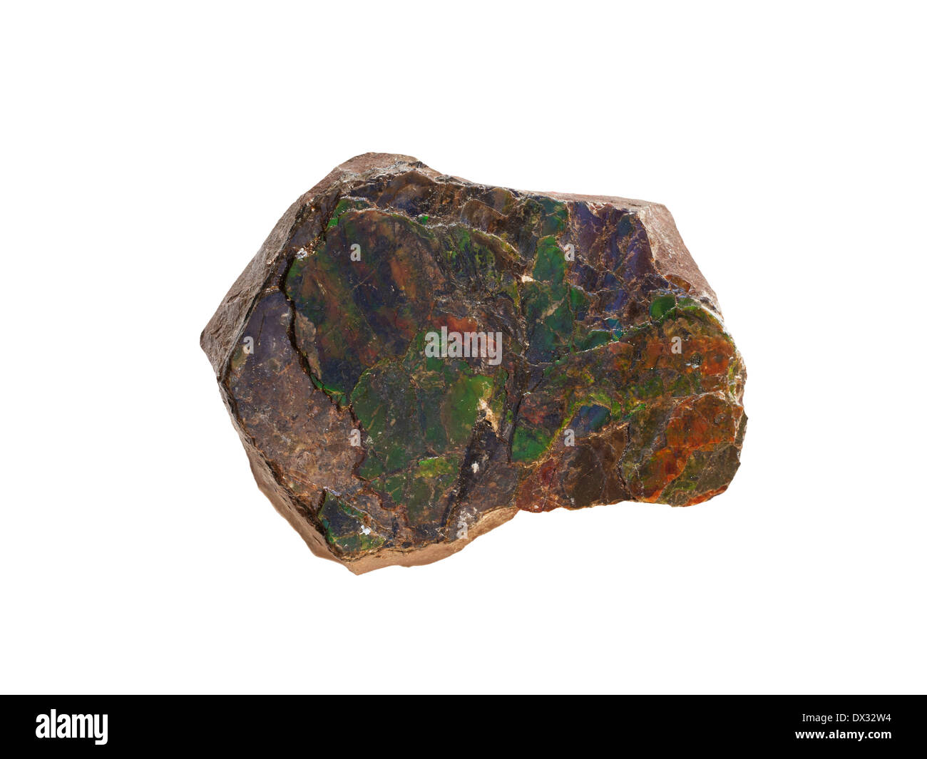 Ammolite Stock Photos & Ammolite Stock Images - Alamy