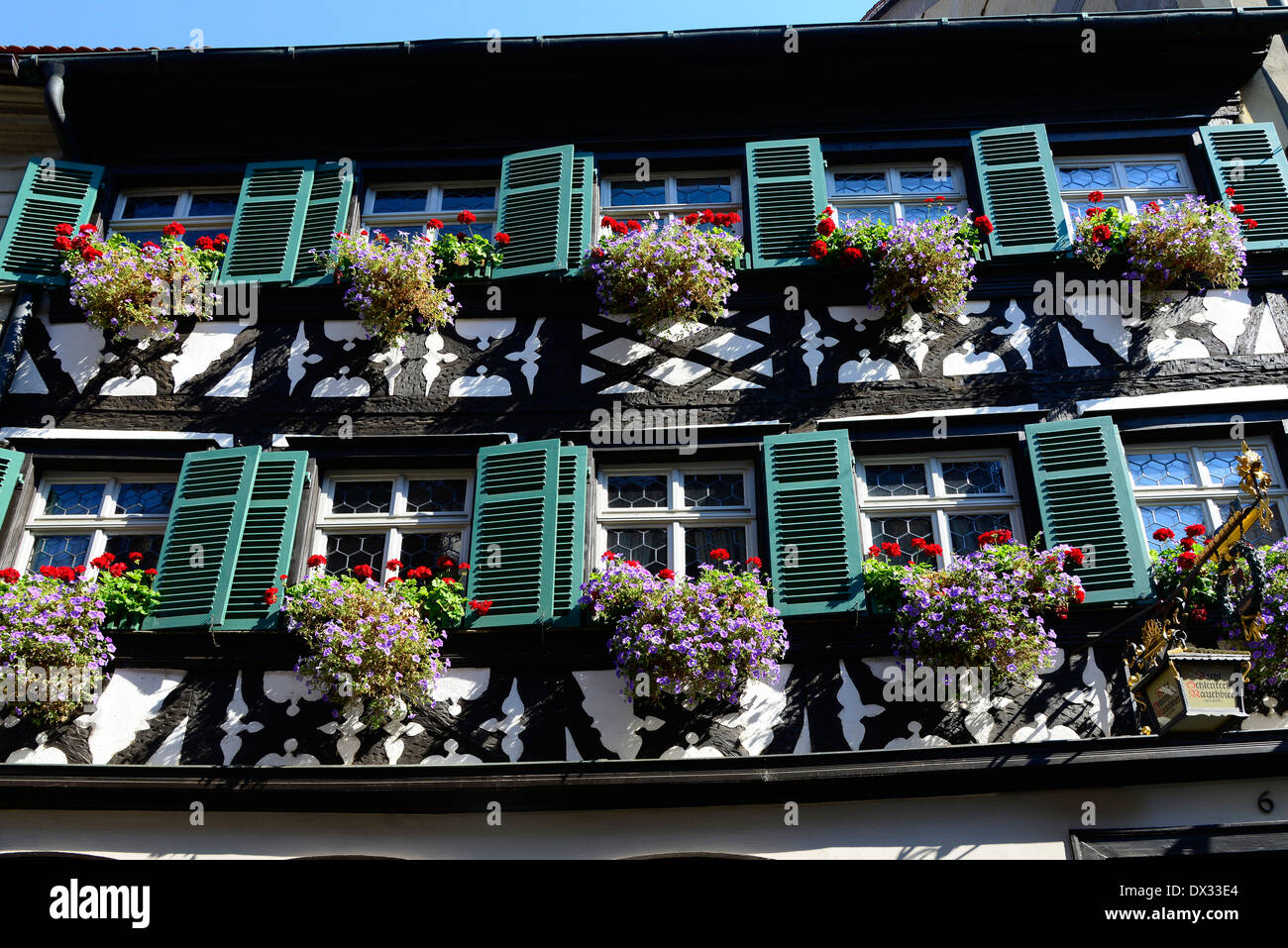 Germany national flower hi-res stock photography and images - Alamy