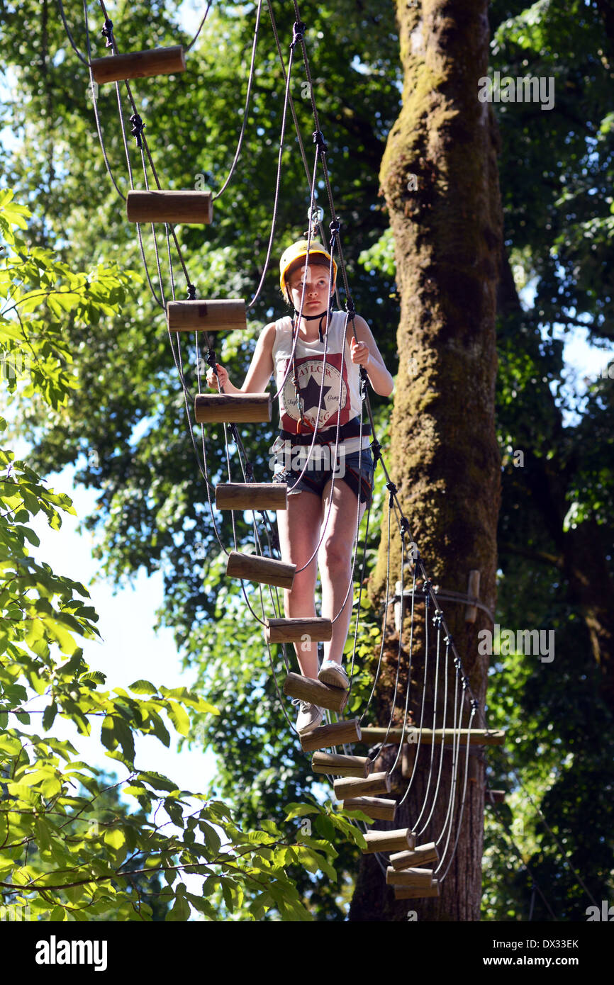 Tree walking with high ropes in Portugal Stock Photo - Alamy