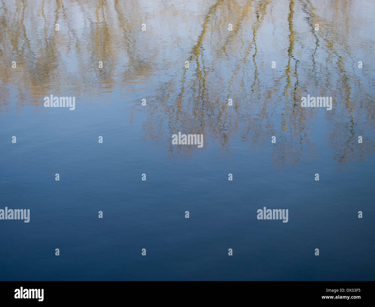 Reflection of trees in river Stock Photo - Alamy