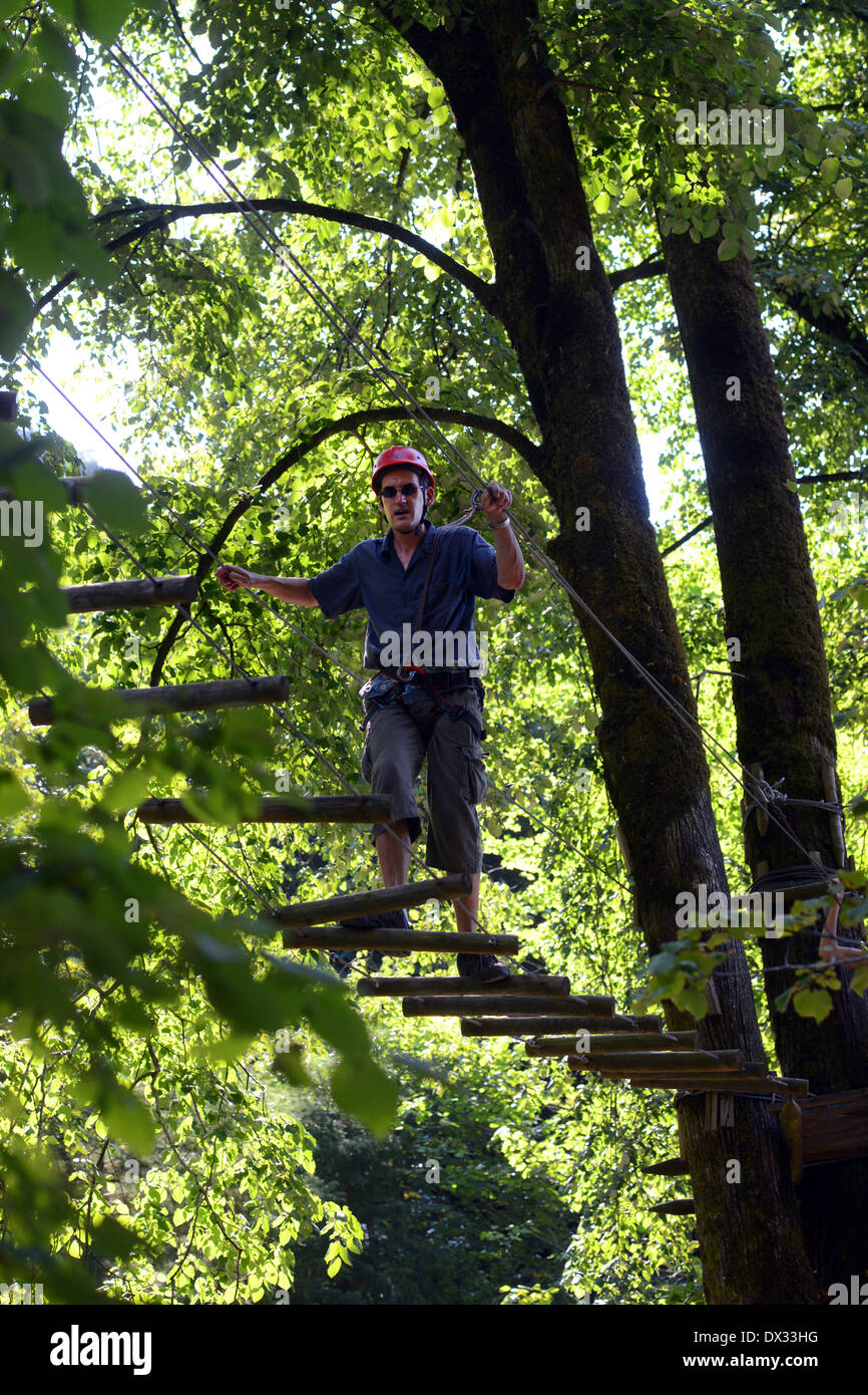 Tree walking hi-res stock photography and images - Alamy