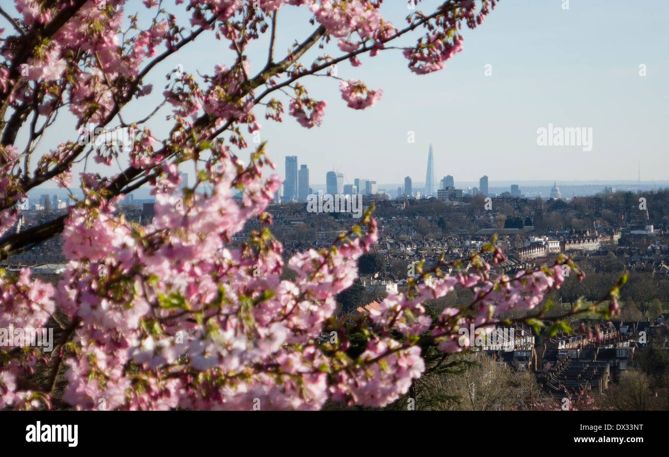 View through blossom hi-res stock photography and images - Alamy