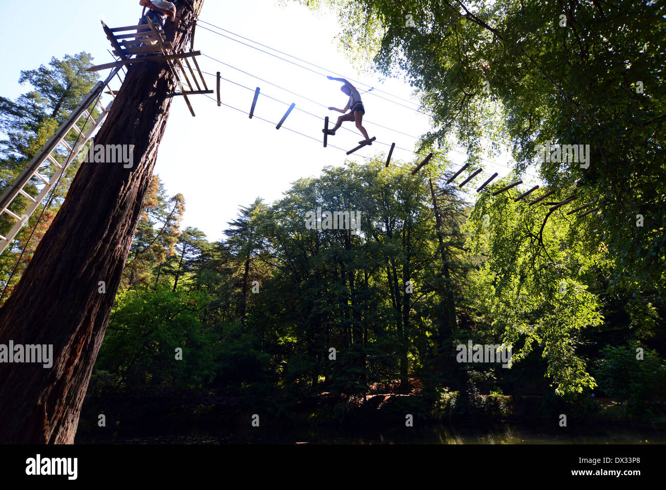 Tree top ropes hi-res stock photography and images - Alamy