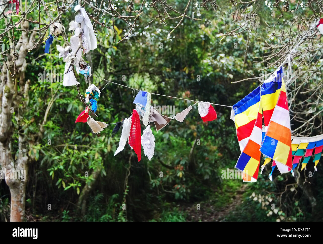 prayer flags on tree near Dhowa Ancient Rock Temple (Buddhist monastery ...