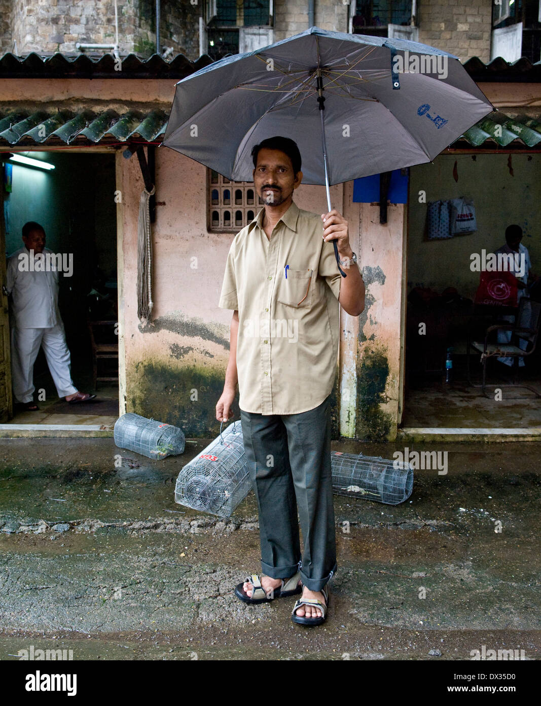 a night's catch of rats is counted the wards 4 night rat killers as ...