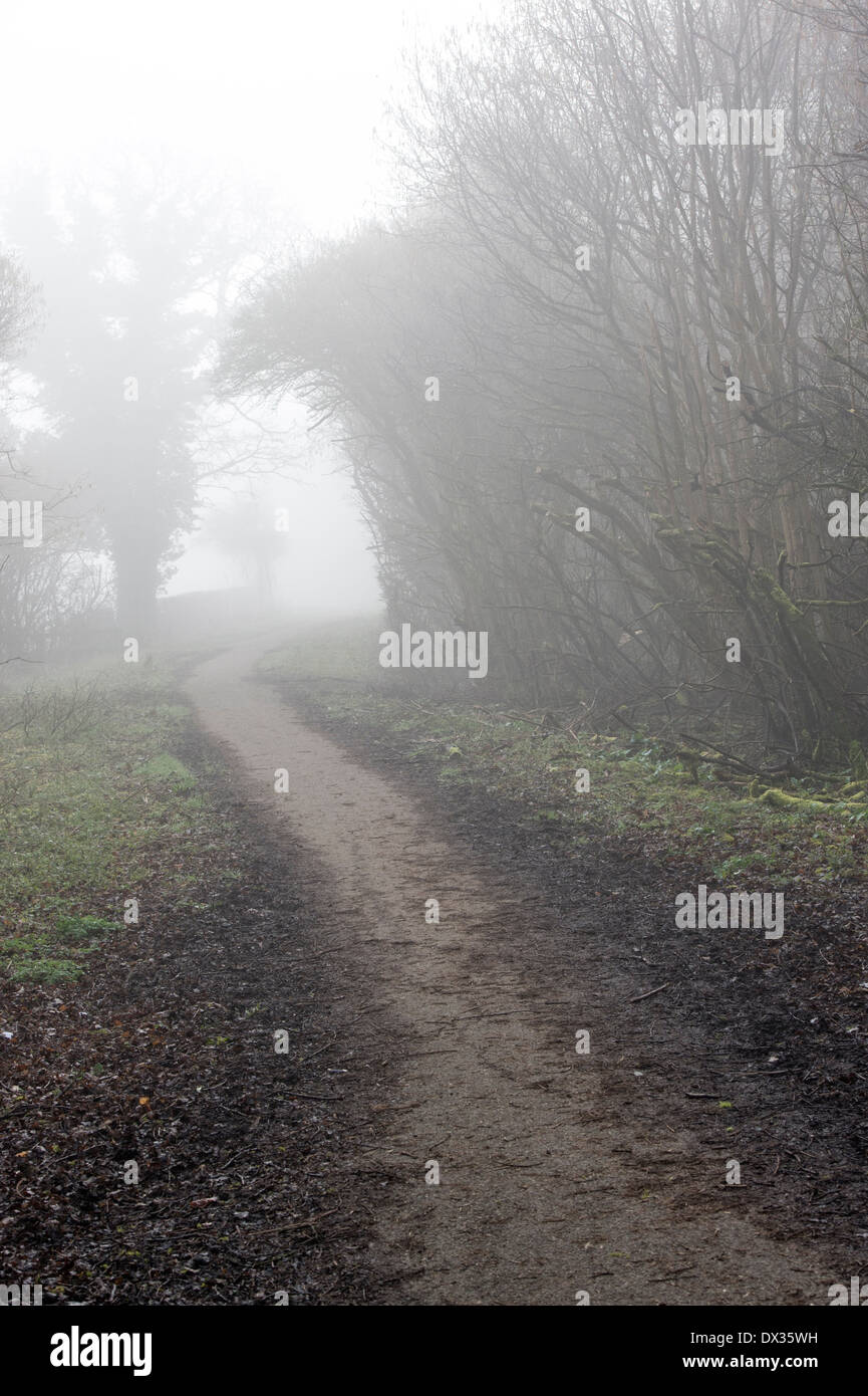 Foggy pathway in the English Countryside. Oxfordshire, England Stock ...