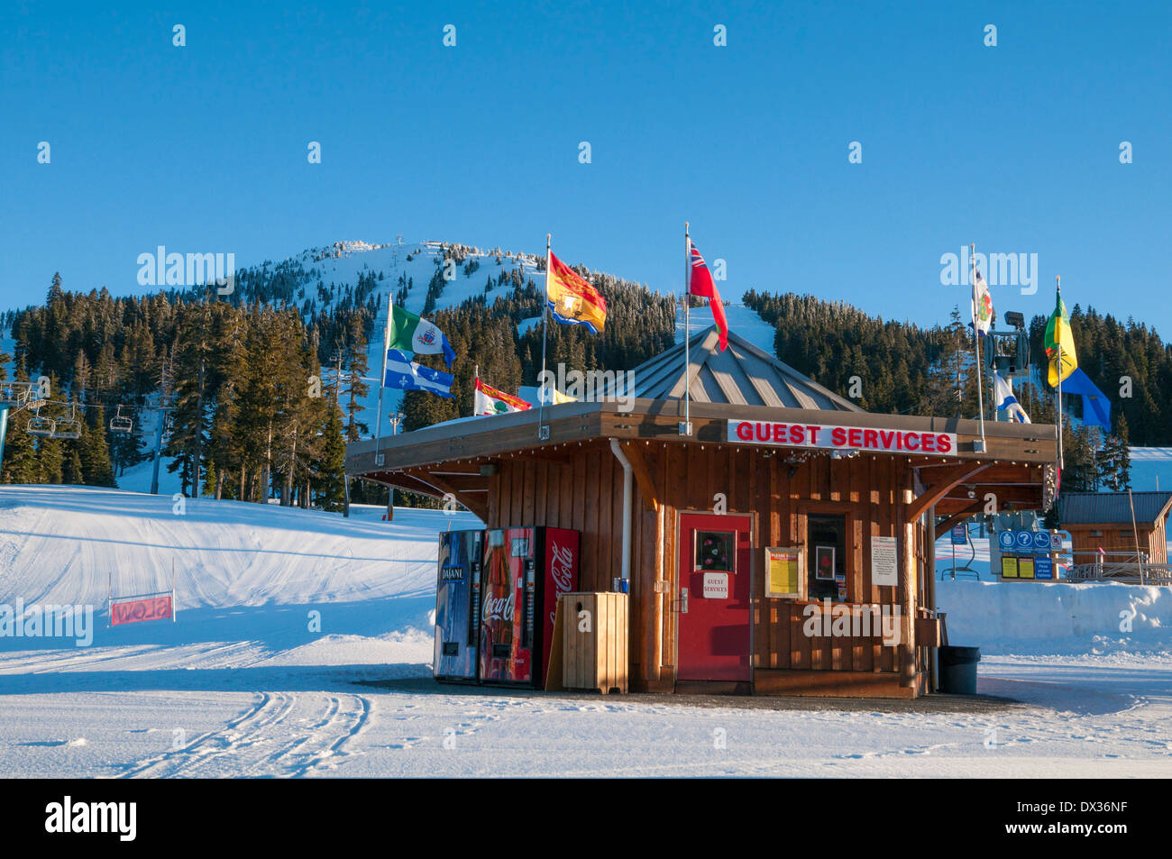 Mount Washington alpine ski area, British Columbia, Canada Stock Photo ...