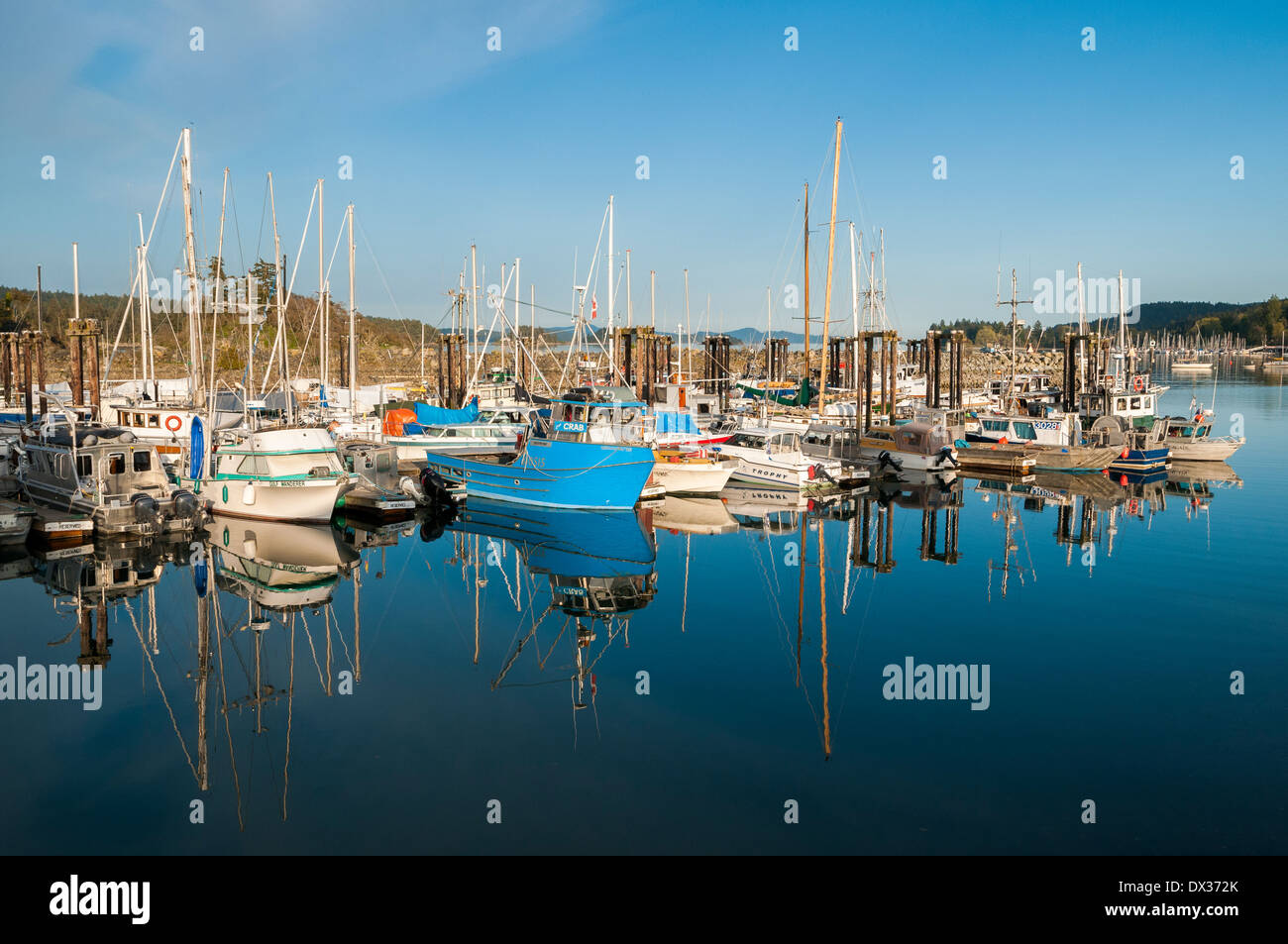 Marina boats ganges harbour hi-res stock photography and images - Alamy