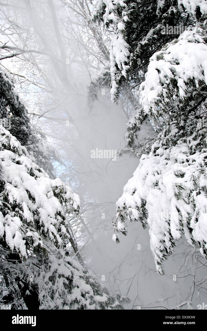 Snow fall hi-res stock photography and images - Alamy
