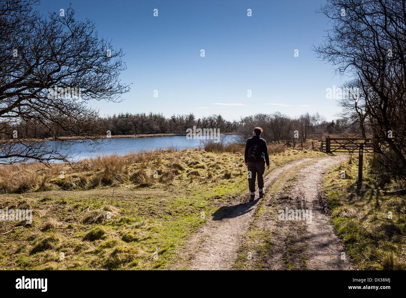 Walker on footpath beside Boyne Water near Brown Clee Hill, Cleobury ...