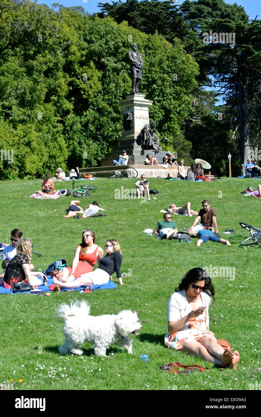 Smart park dog hi-res stock photography and images - Alamy