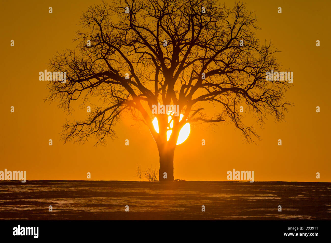 Sun silhouette hi-res stock photography and images - Alamy