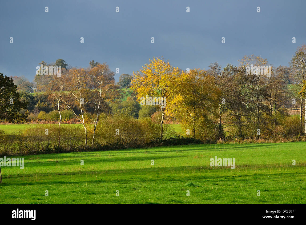 Farmland in autumn (Orne, Normandy; France, Europe Stock Photo - Alamy