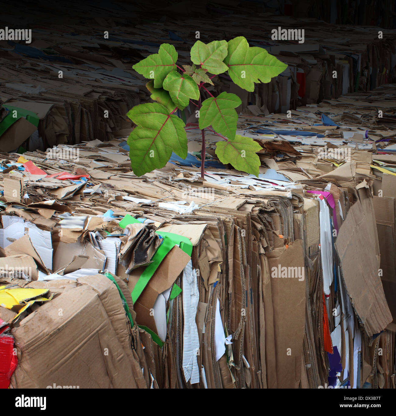 Eco friendly tree and renewable resources concept as recycling stacks ...