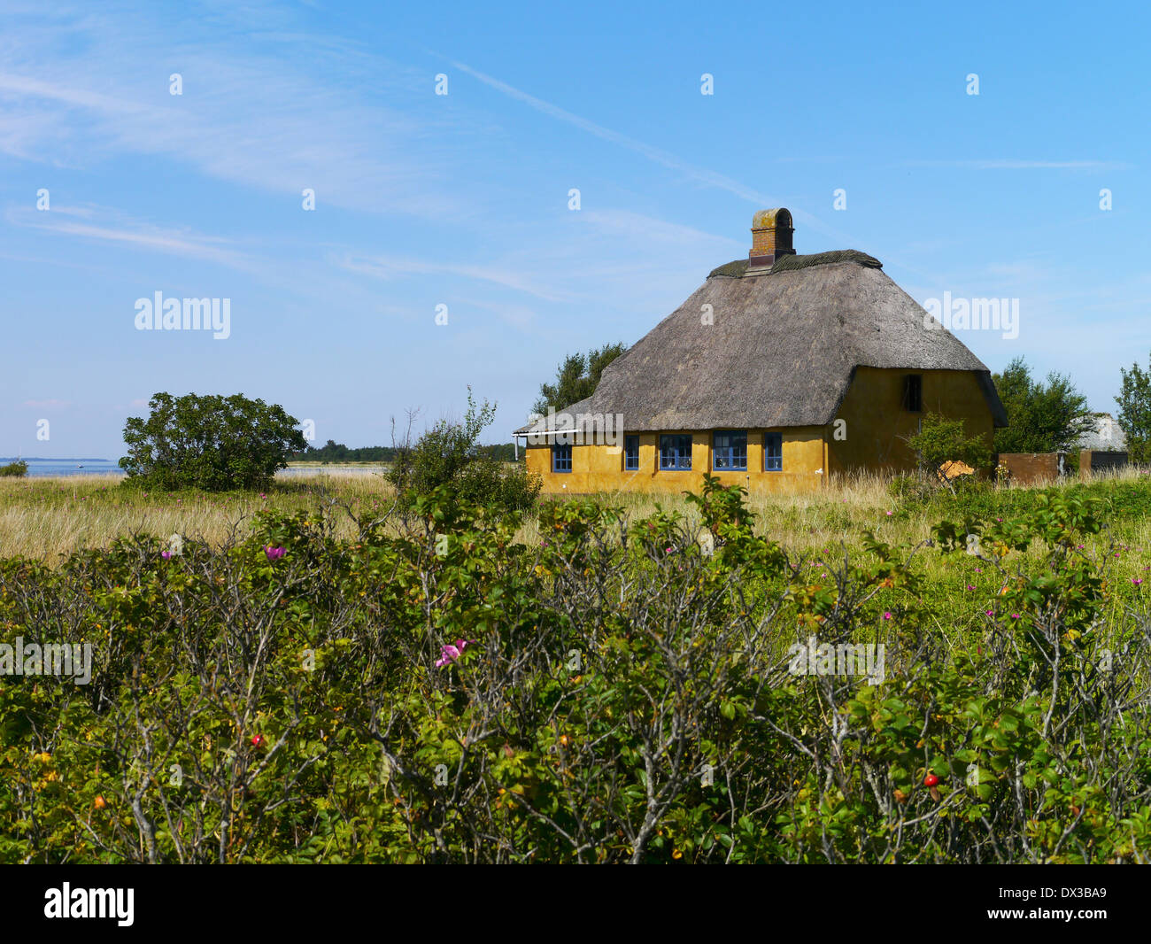 thratched house on årø (aaro), little belt, denmark Stock Photo - Alamy