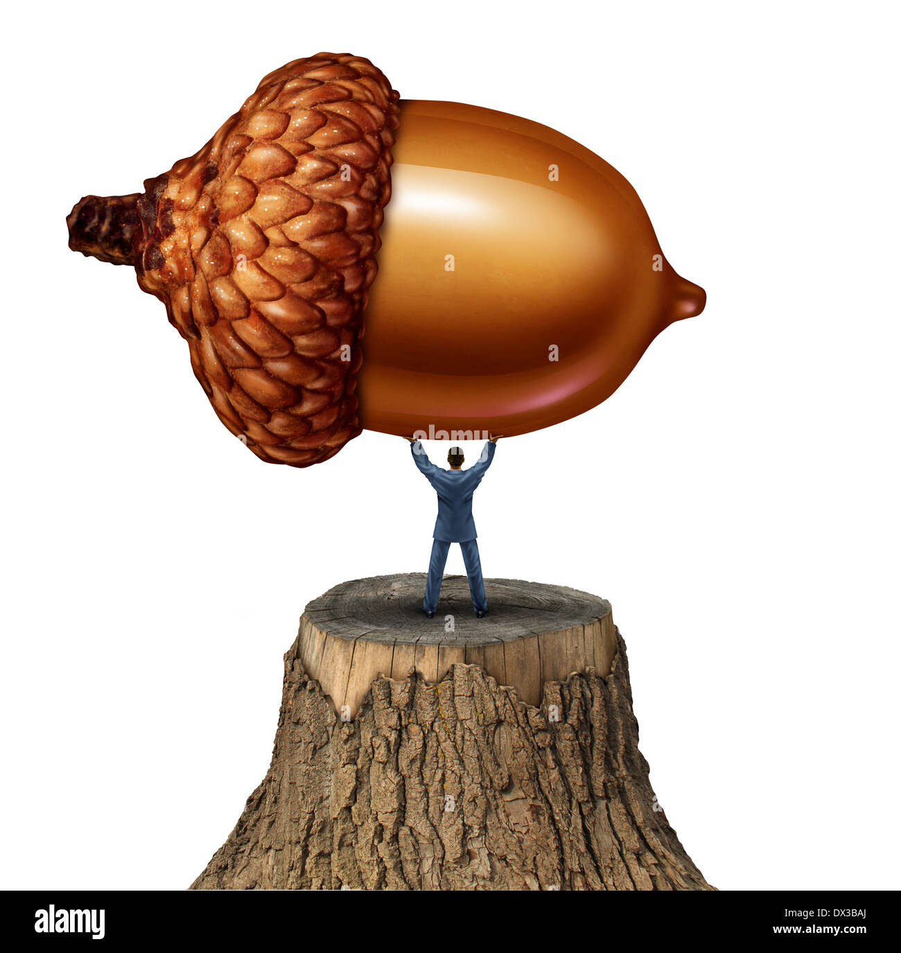 Isolatedacorn hi-res stock photography and images - Alamy