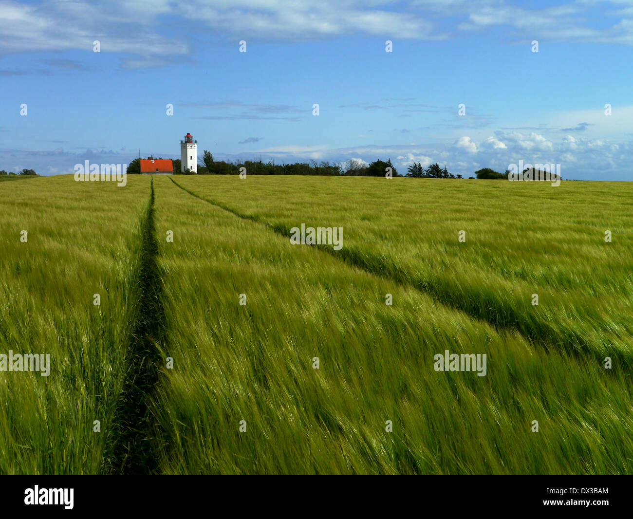 gedser fyr, gedser, falster, baltic sea, denmark Stock Photo - Alamy