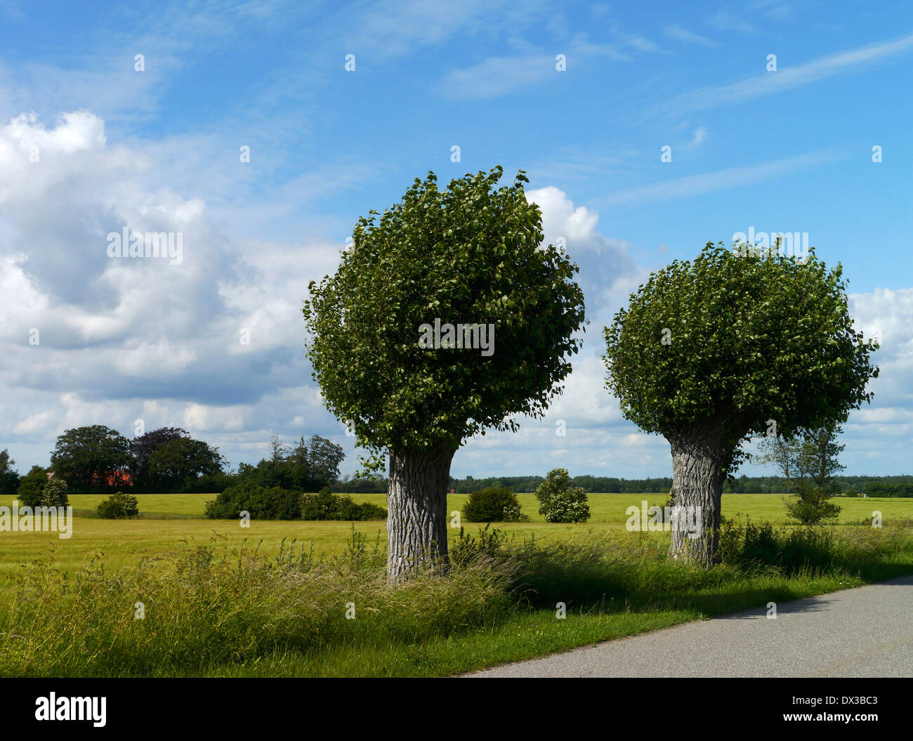 Falster hi-res stock photography and images - Alamy