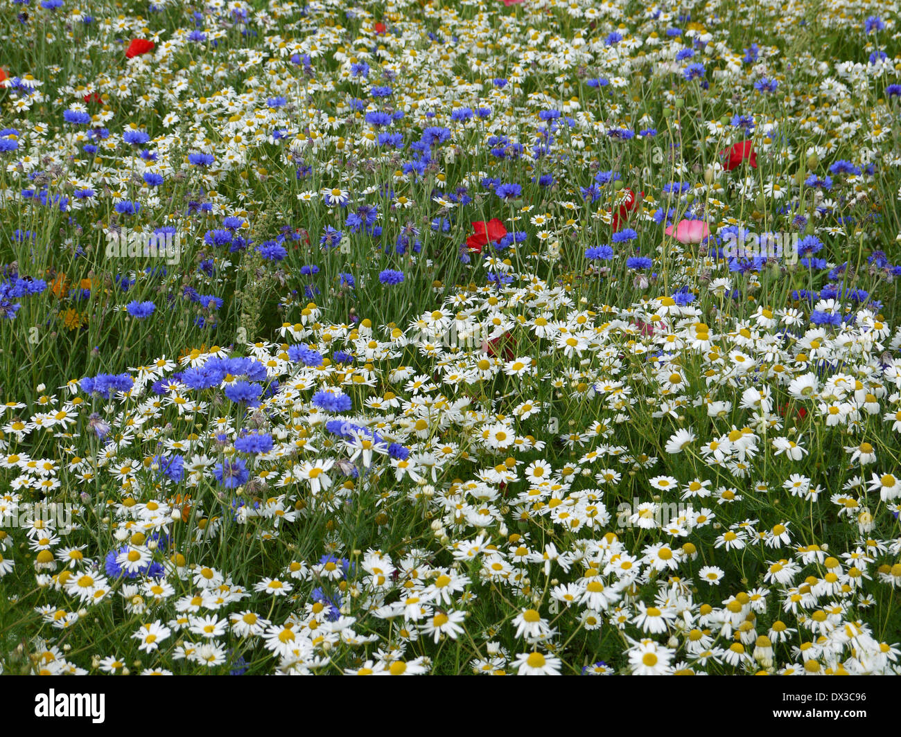 Fur island hi-res stock photography and images - Alamy