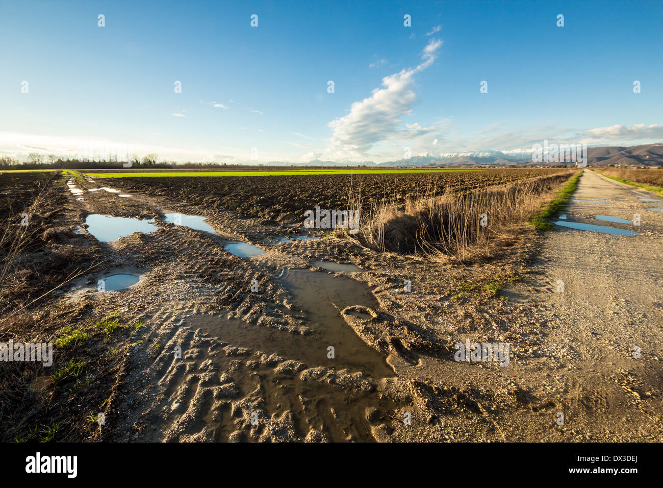 after a shower big puddles in a country road Stock Photo - Alamy