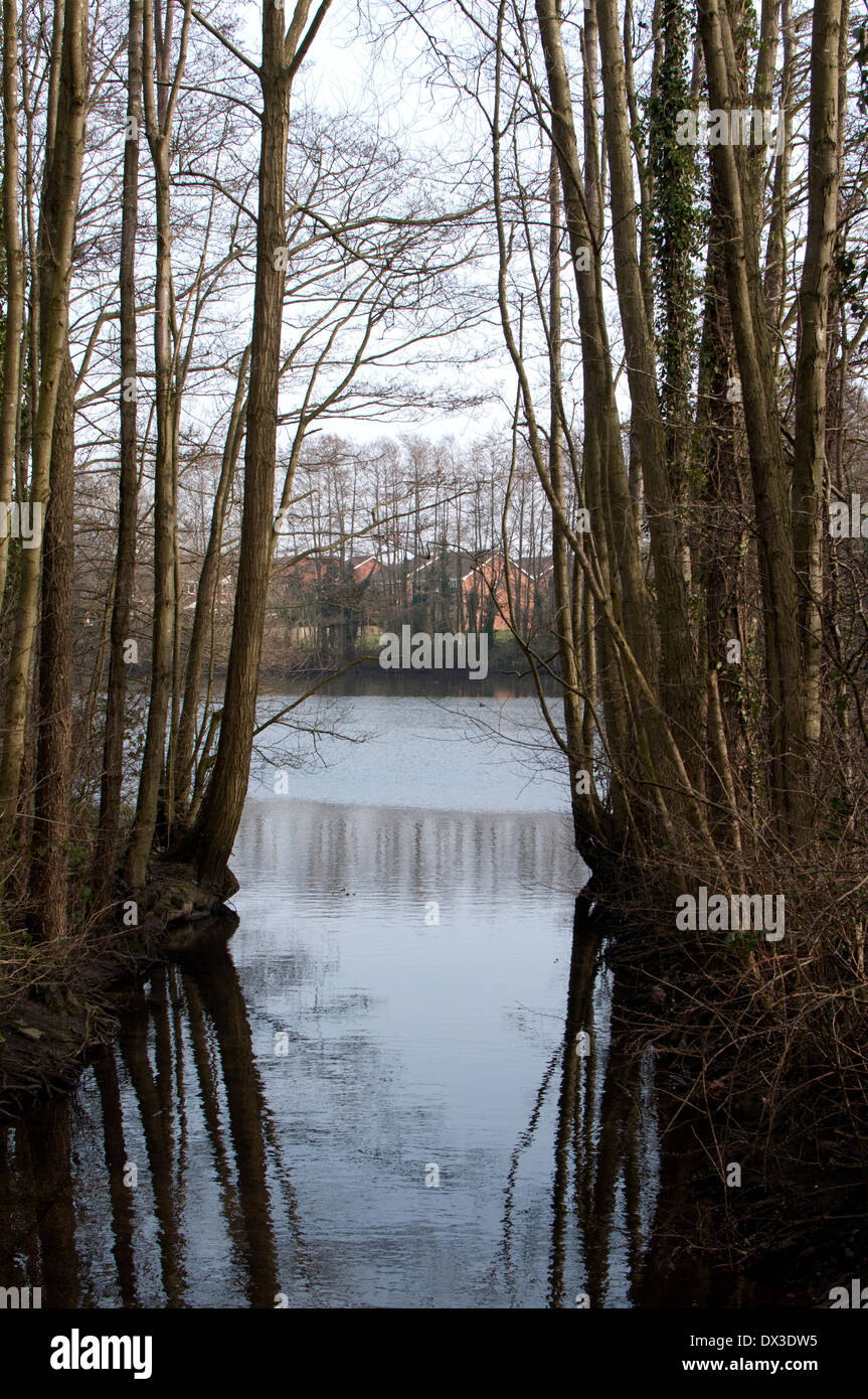 The lake at Hillfield Park Nature Reserve, Monkspath, Solihull, West ...
