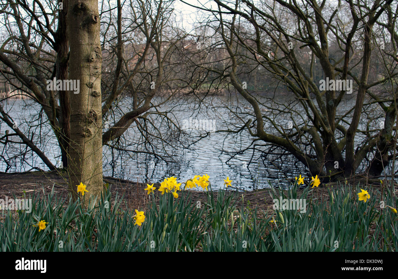 Hillfield Park Nature Reserve, Monkspath, Solihull, West Midlands ...