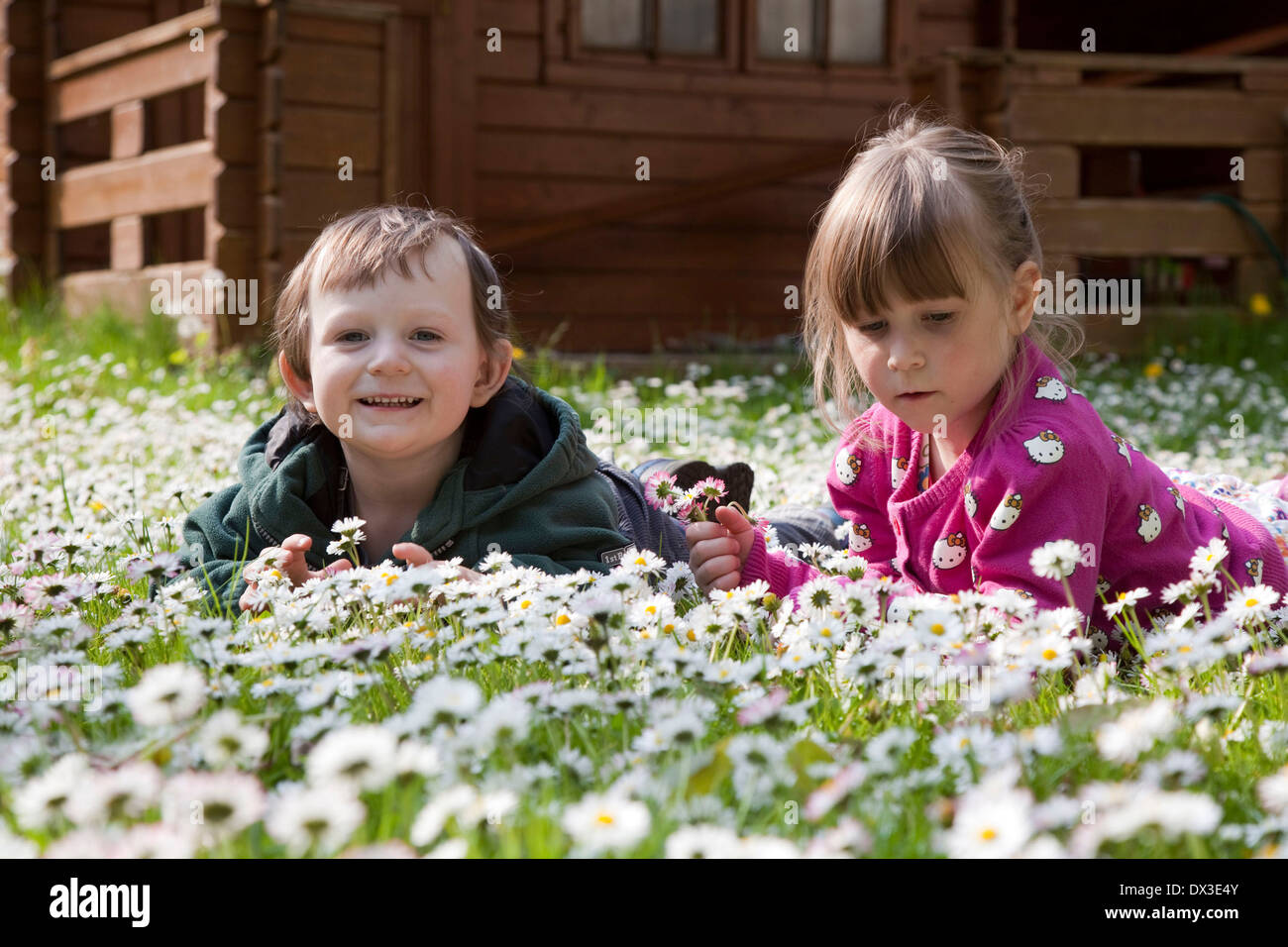 Children flower meadow hi-res stock photography and images - Alamy