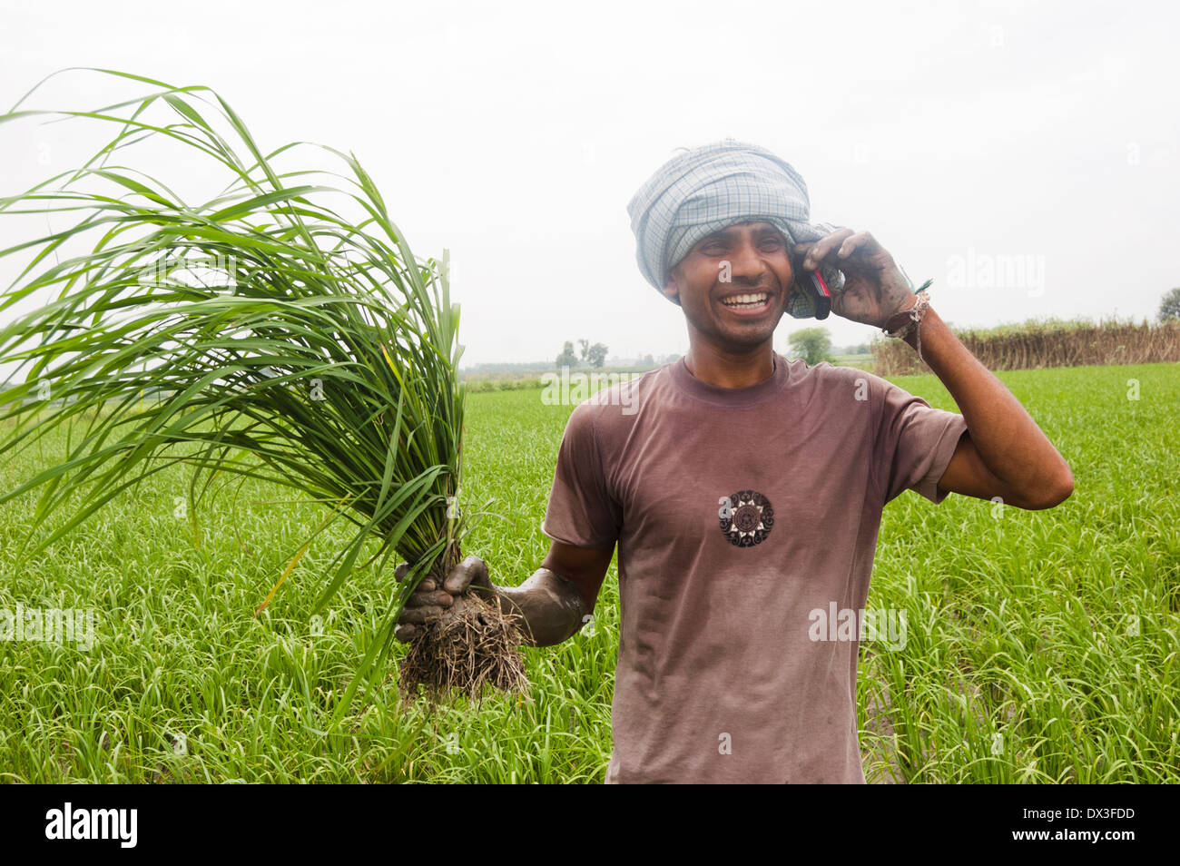 Farmers Working In The Farm