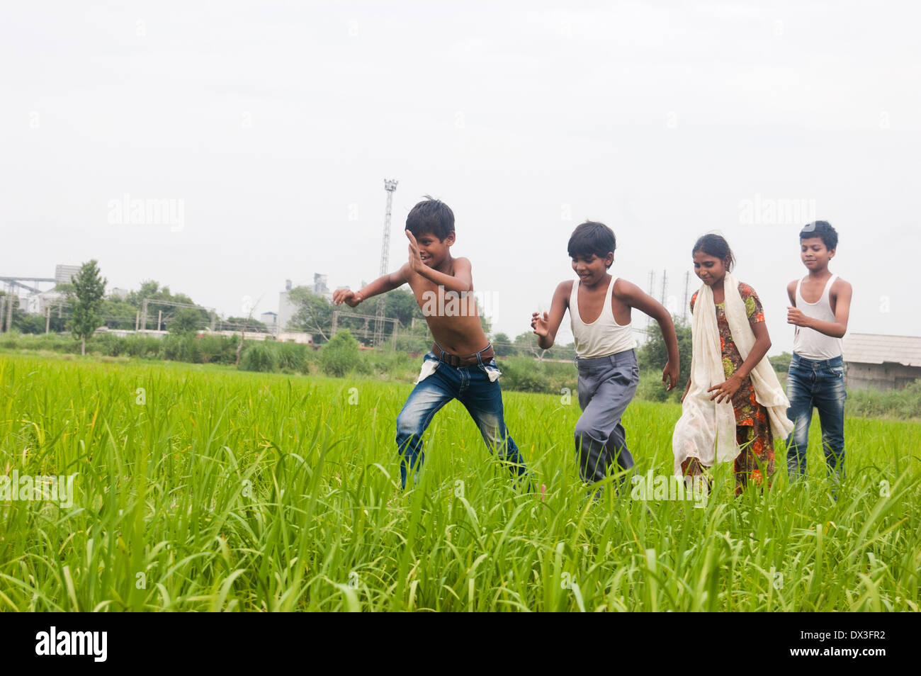 Indian Villager Kids Playful in Farm Stock Photo - Alamy