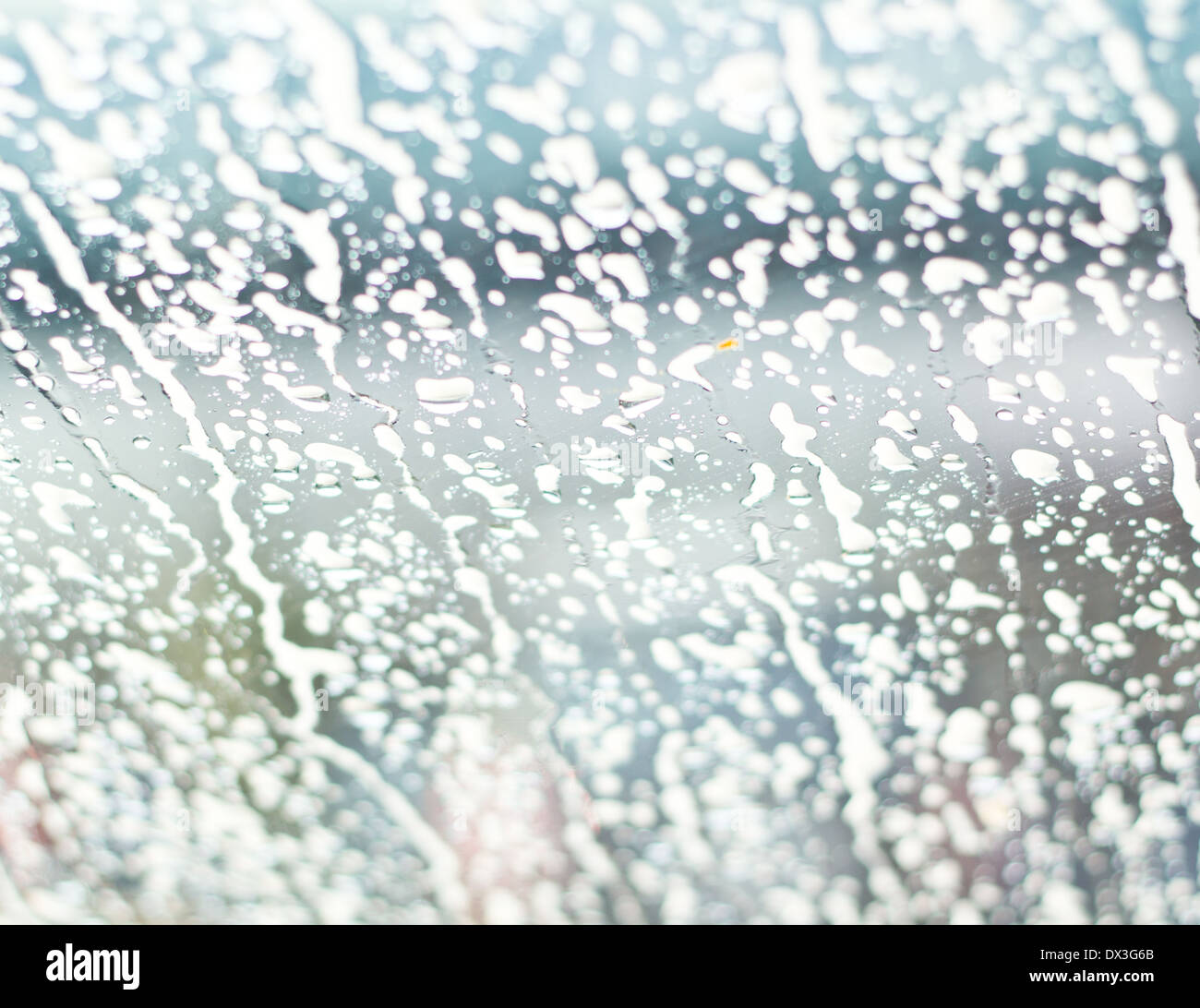 shampoo bubble on car window Stock Photo - Alamy