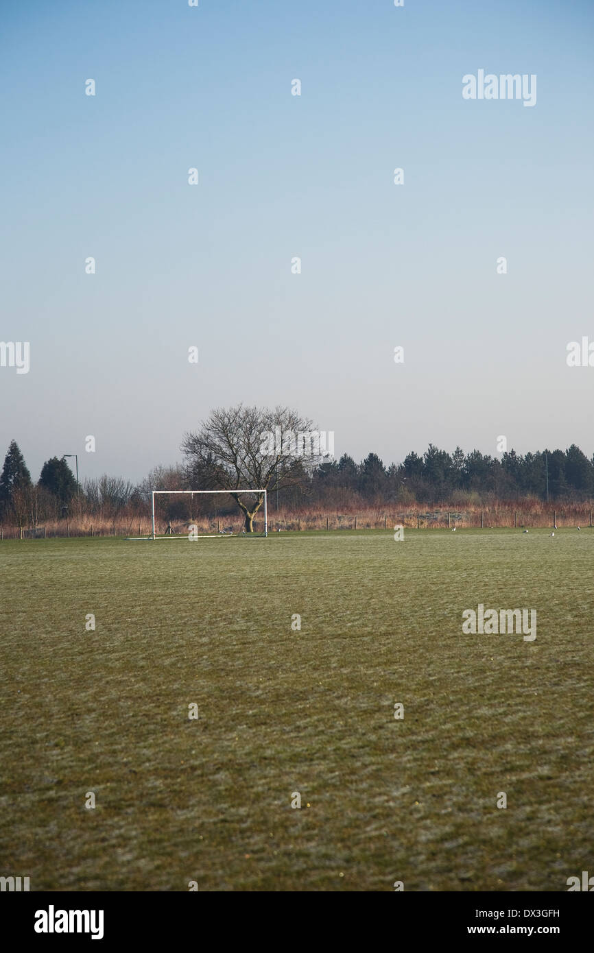 empty football pitch and goal on a frosty winter morning sunrise Stock ...