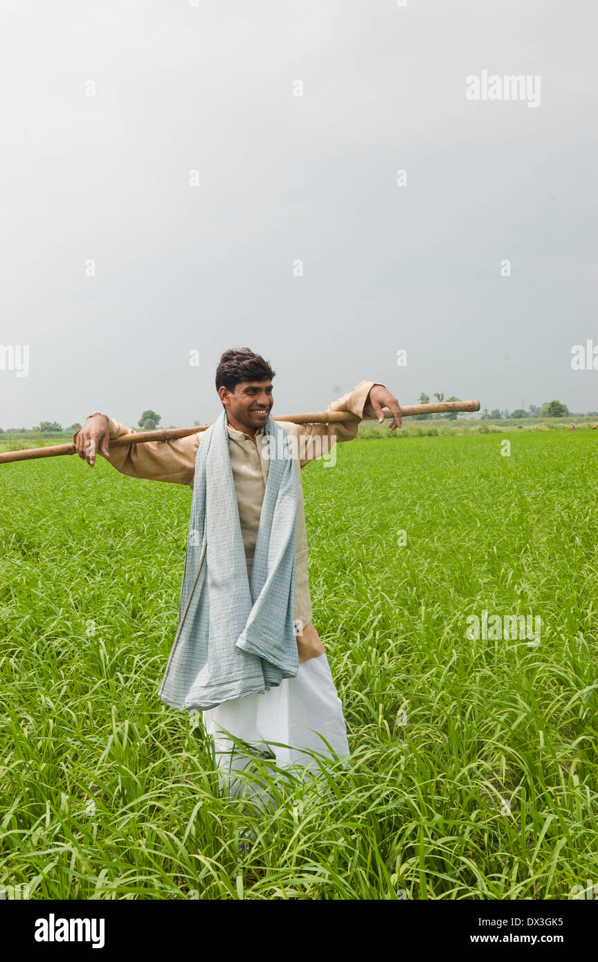 Man carrying rice paddy field hi-res stock photography and images - Alamy