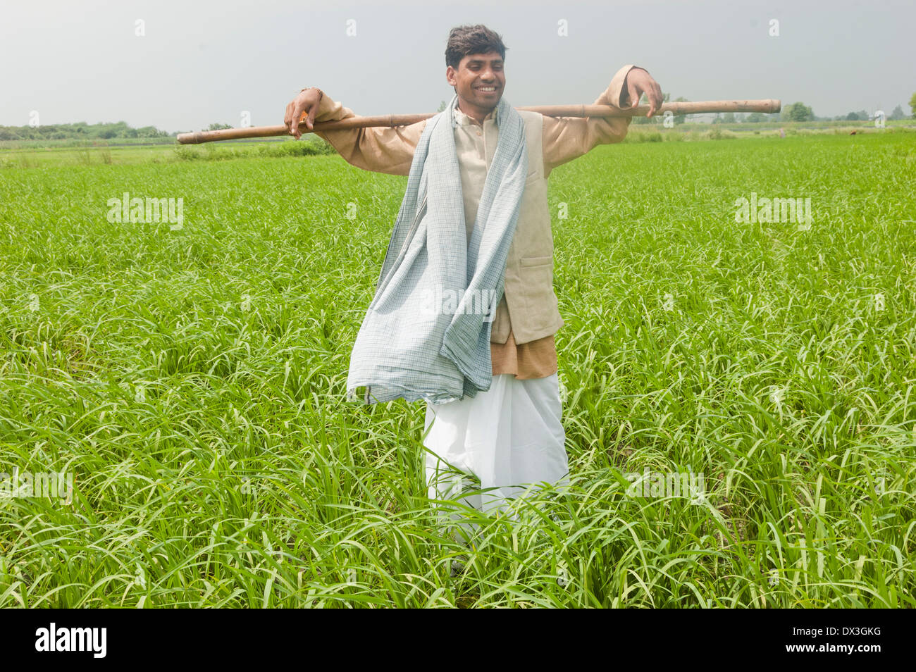 1 Indian Farmer Standing in Field Stock Photo: 67691108 - Alamy