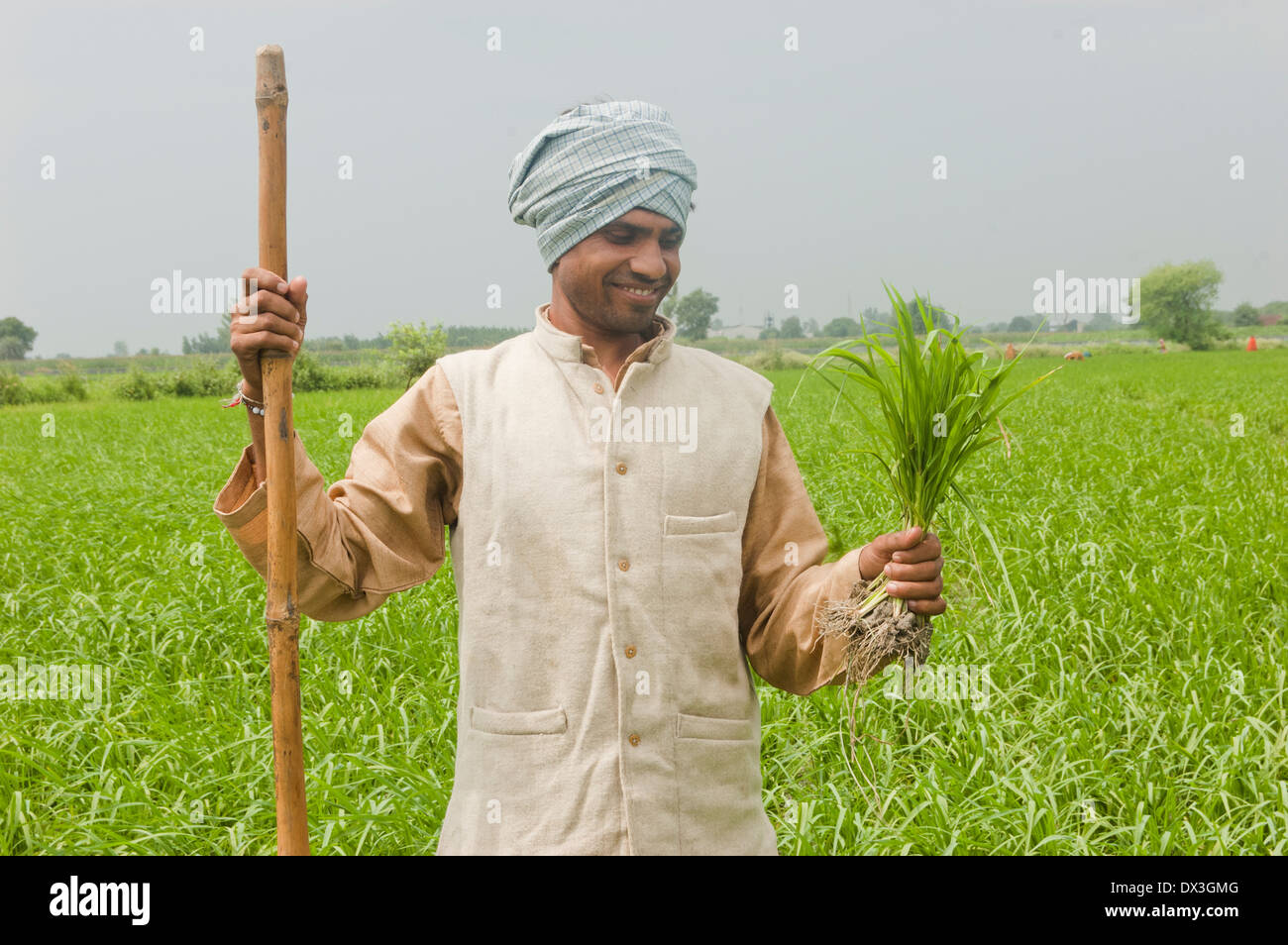 1 Indian Farmer Standing in Field Stock Photo - Alamy